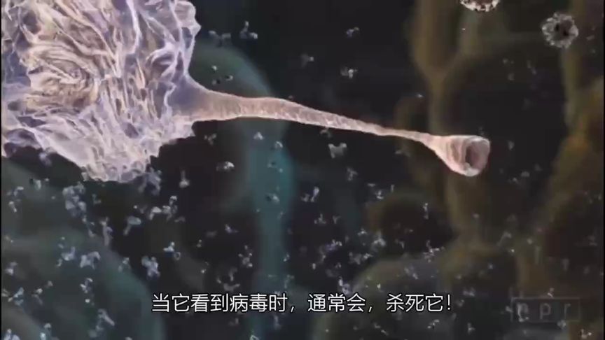 3D动画演示:病毒是如何进入细胞内部并快速在我们身体里传播