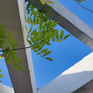 少年们的四纪年 