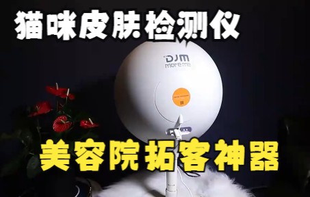猫咪皮肤检测仪-美容院拓客神奇!