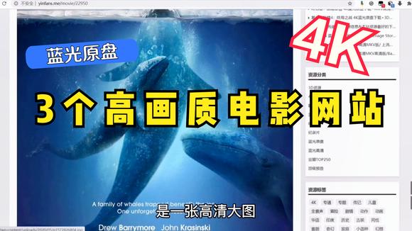 3个高画质、高质量电影网站,蓝光原盘、4K等资源应有尽有!