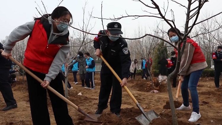 39秒丨践行劳动教育 荣成市组织学生和志愿者开展植树活动