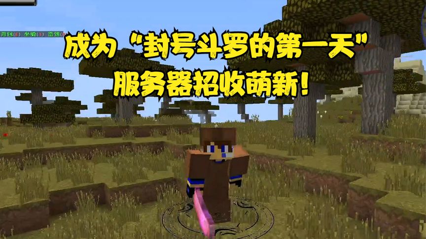 王者,吃鸡玩不了?试试我的世界斗罗大陆服务器。无限制无防沉迷
