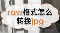 raw格式怎么转换jpg
