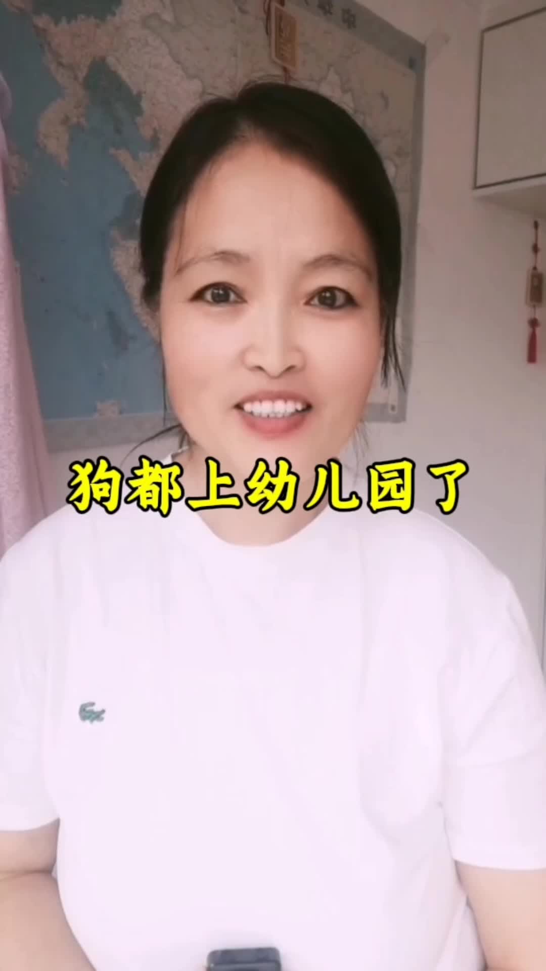 你没看错,狗都开始上幼儿园了#狗狗学校 #狗成精了 #涨知识