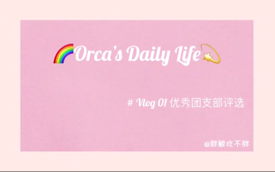 【胖鲸的日常】vlog01院优秀团支部评选丨班级活动丨首经贸