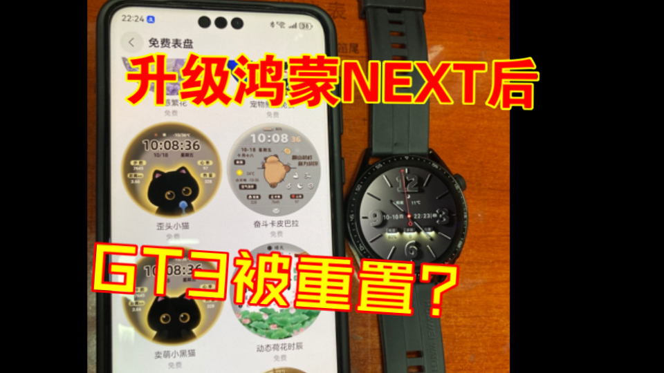 mate60Pro升级鸿蒙NEXT后手表收不到消息提醒了,重新连接后手表...