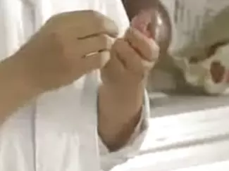 尝试制作真核细胞的三维模型