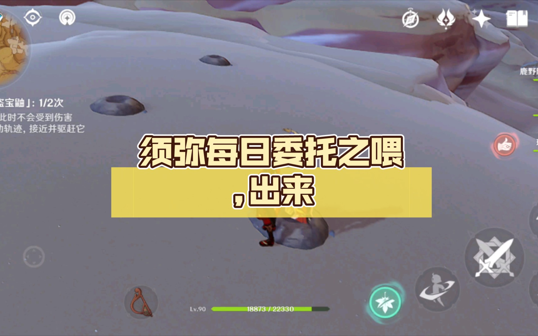 须弥每日委托之喂,出来(驱赶盗宝鼬任务)_原神