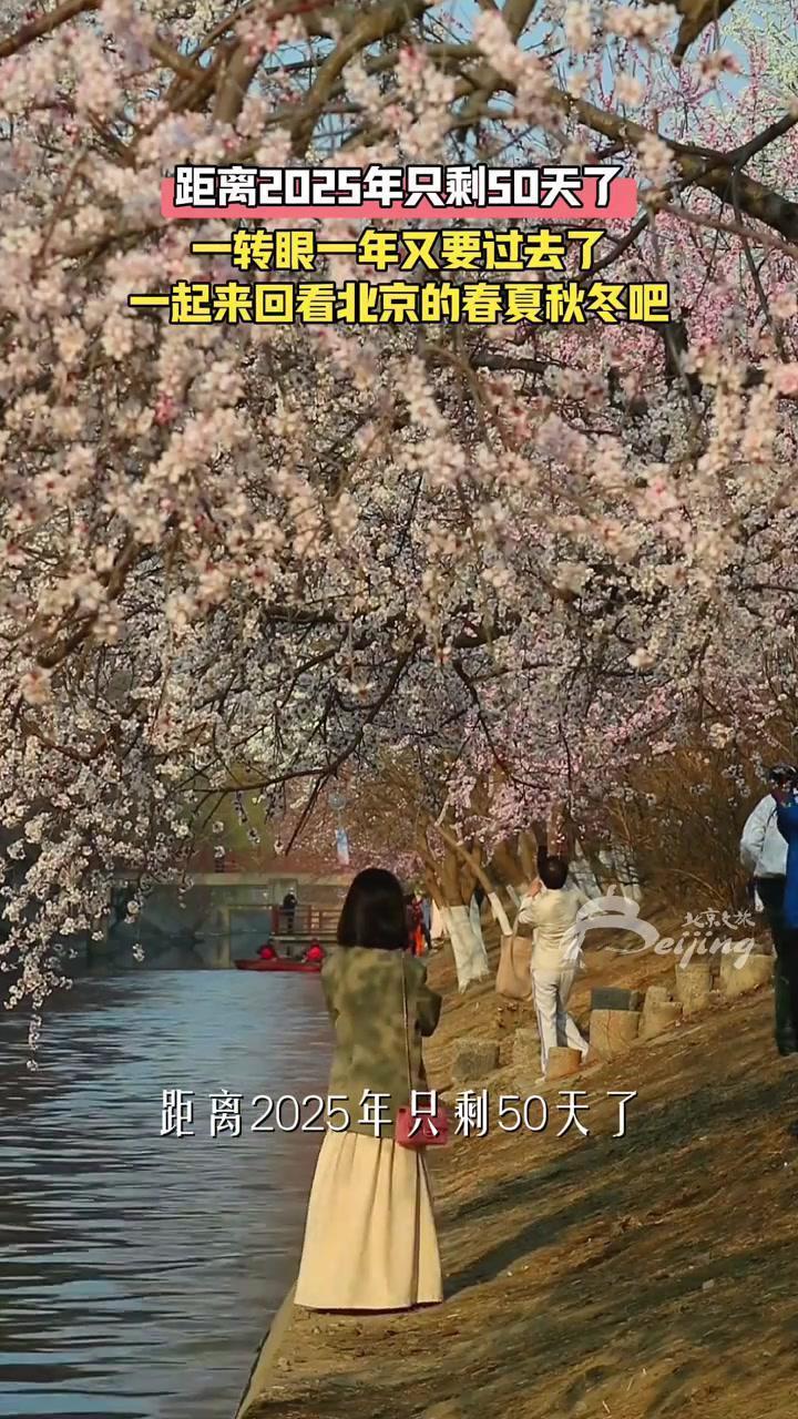 ...倒计时#时间过的真快呀#转眼间就快到2025年跨年了#北京文旅放大招