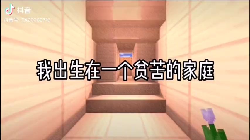 我出生在一个贫困的家庭