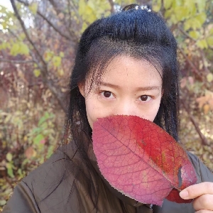 美育蔡一诺 