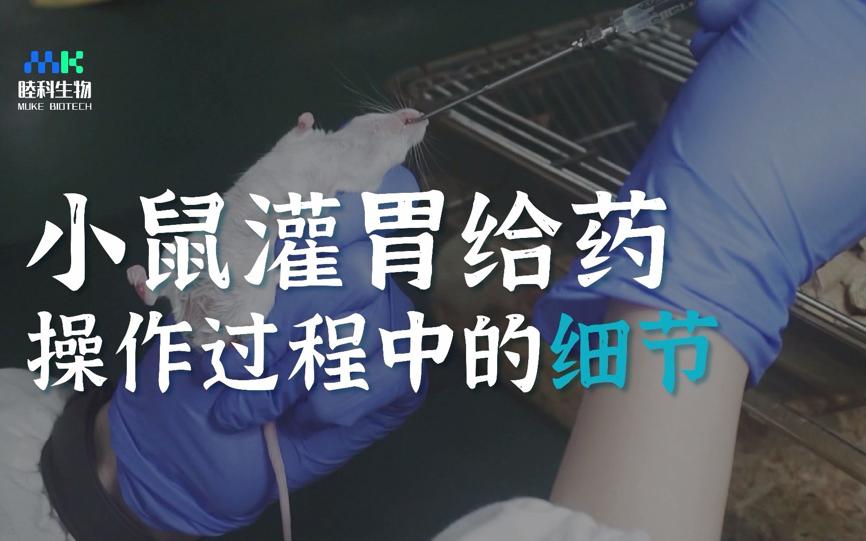 睦科云课堂 | 小鼠灌胃注射操作和注意细节