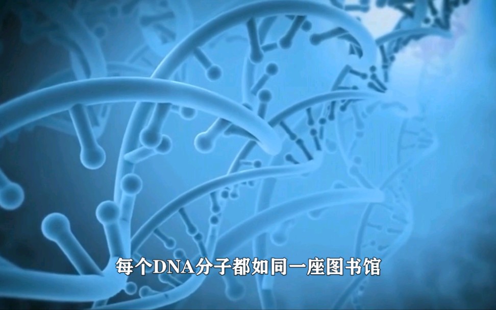 《万物》导读视频‖一起走进神奇的DNA世界!