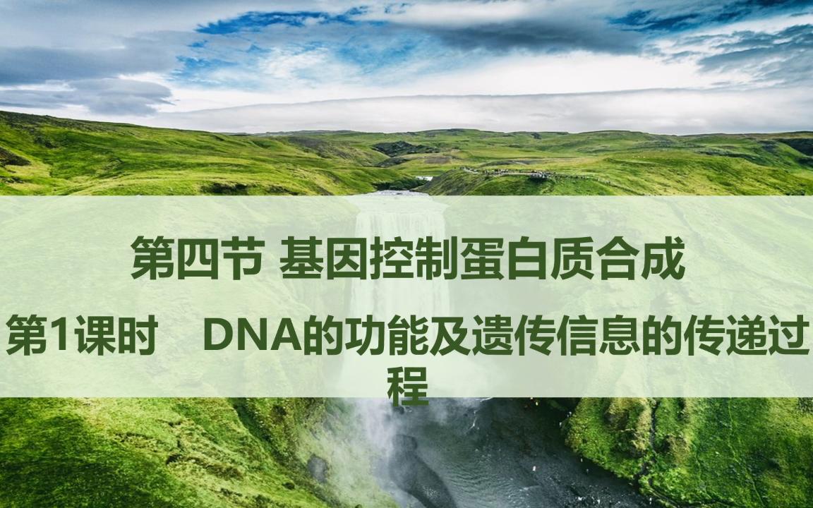 浙科版高中生物新教材 必修二 3.4.1 DNA的功能及遗传信息的传递过程