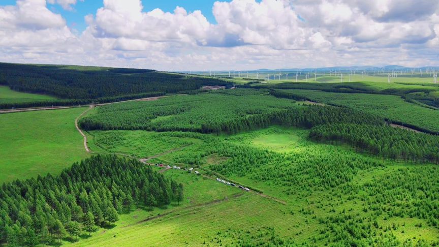 #塞罕坝国家森林公园 #河北请全抖音看塞罕坝