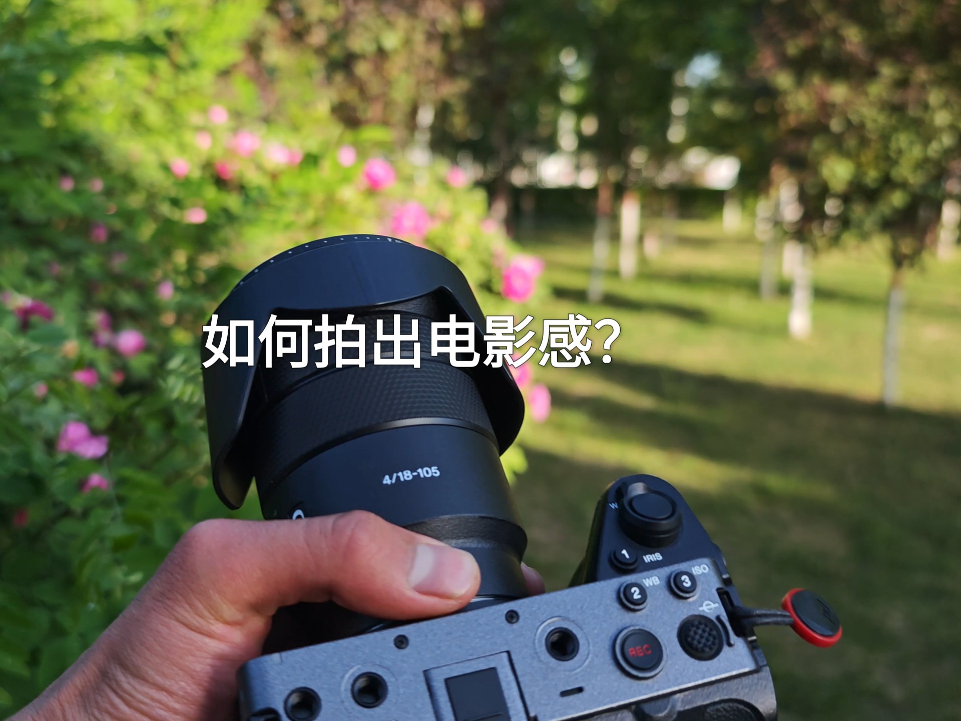 索尼fx30|如何把普通的花花草草拍出电影感?