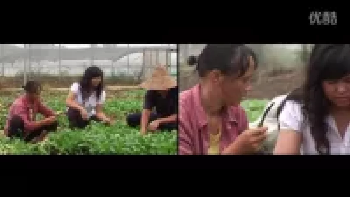 家乐福宣传片