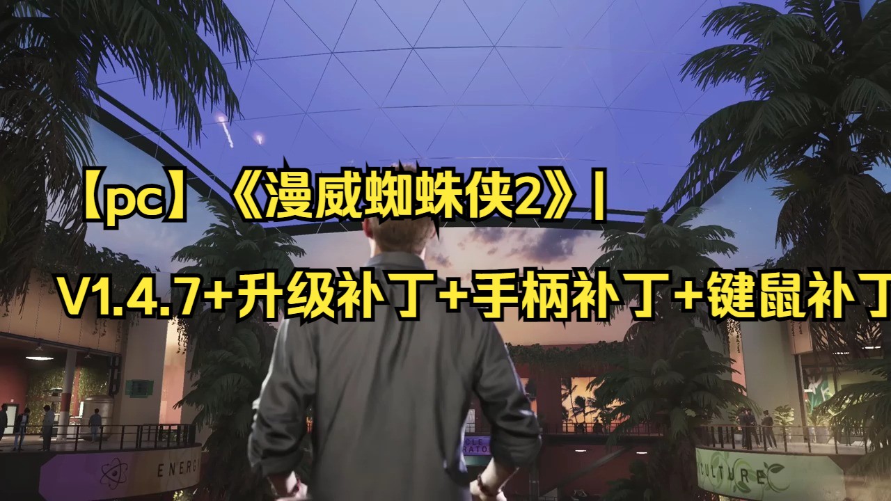 ...手柄补丁+键鼠补丁|中文|免安装硬盘版|简介获取|07_单机游戏热门视频