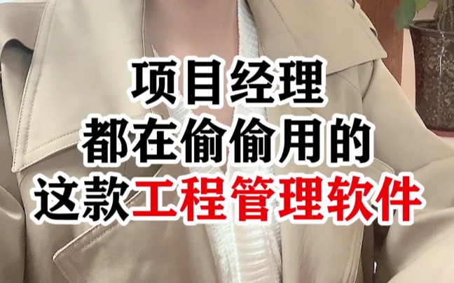 项目经理都在偷偷用的这款工程管理软件