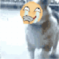 喔牛 