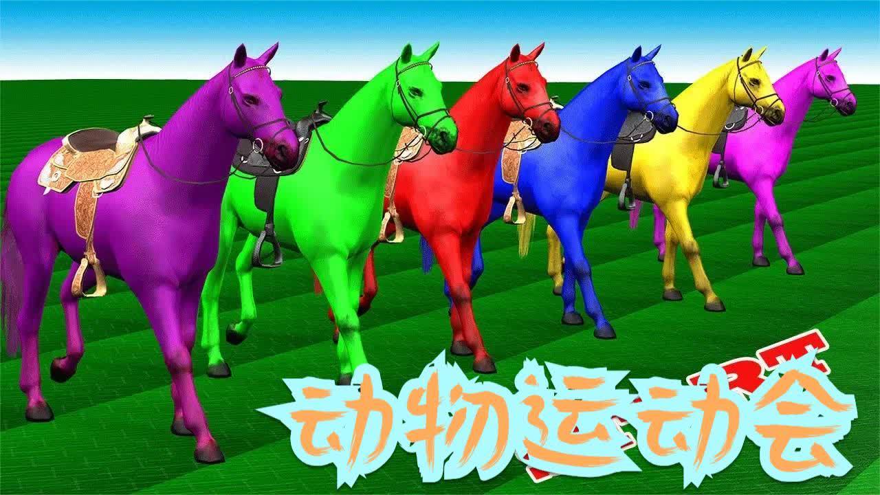 第一动画乐园:森林里开运动.
