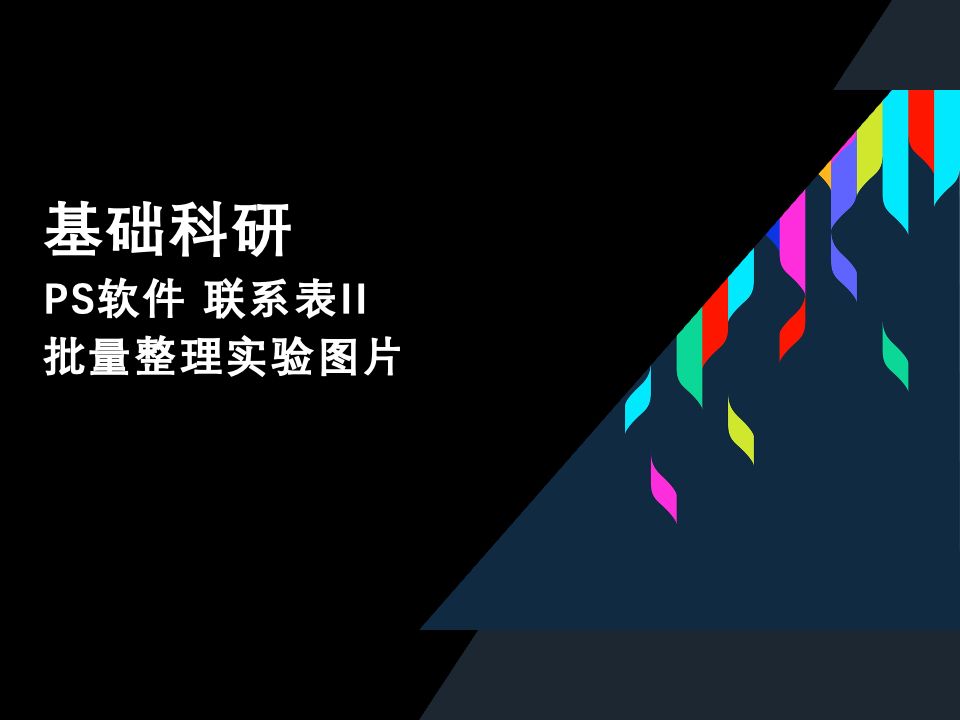 基础科研|PS软件 联系表II功能 批量处理WB、荧光等图片