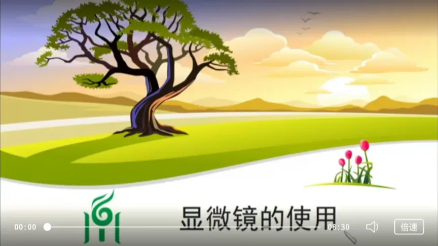 【七年级生物上】显微镜的使用