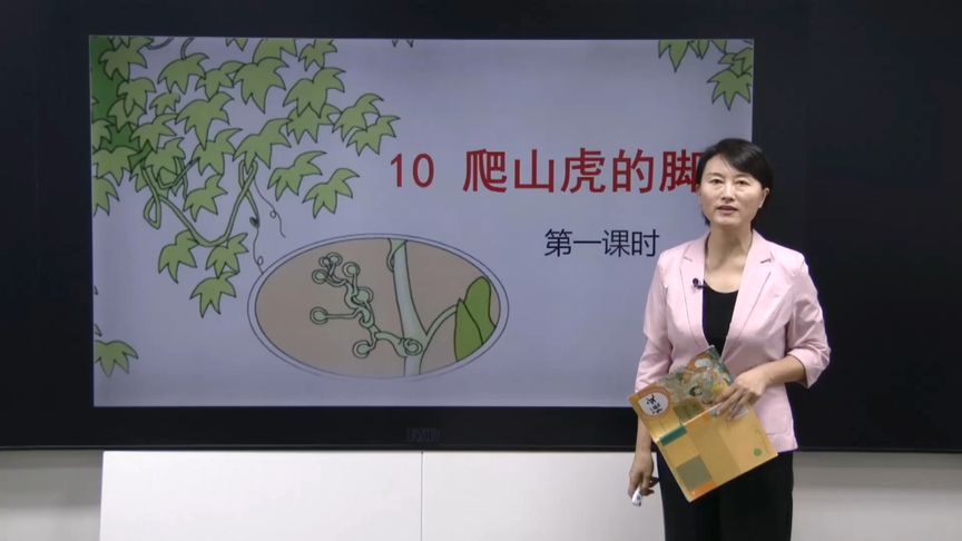 021部编版四年级语文上册第10课《爬山虎的脚》(第一课时)