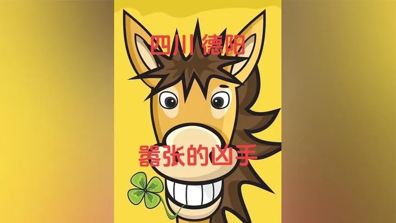 嚣张的凶手 大案纪实 刑侦 破案