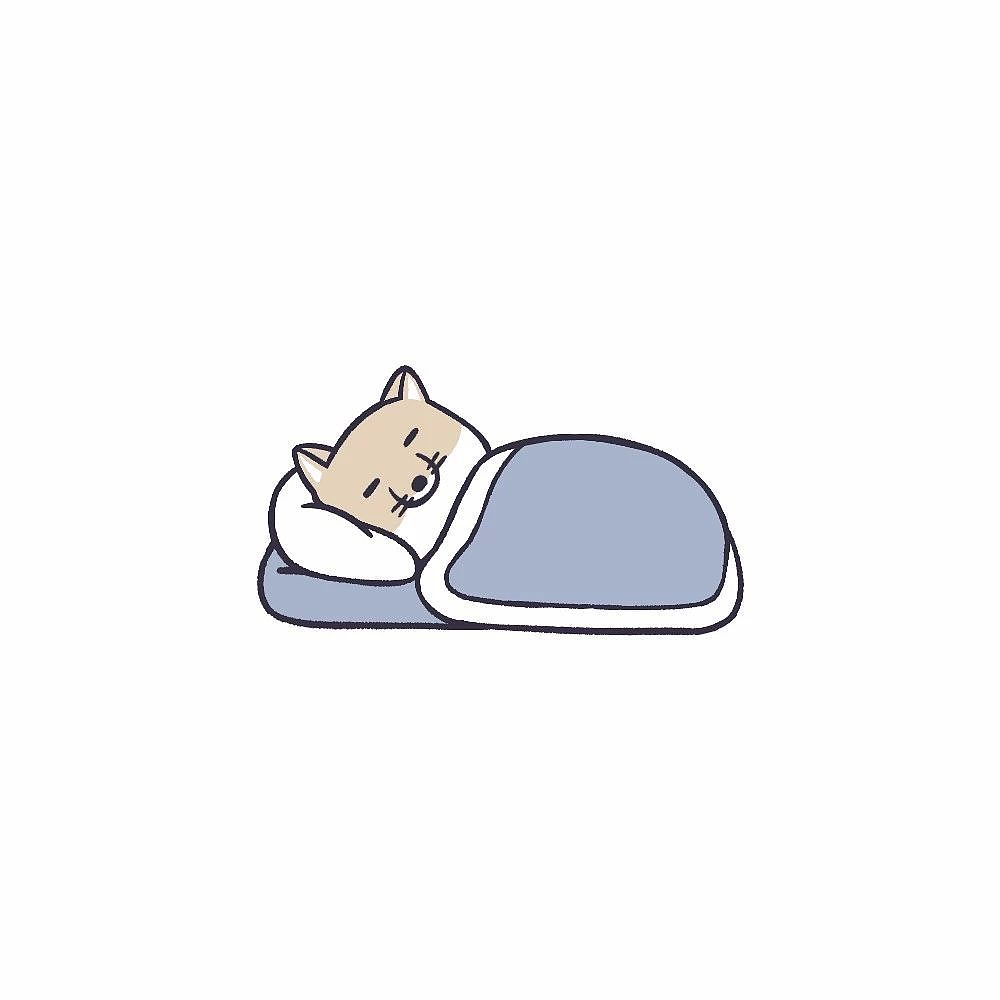 懒得剪动漫解说 