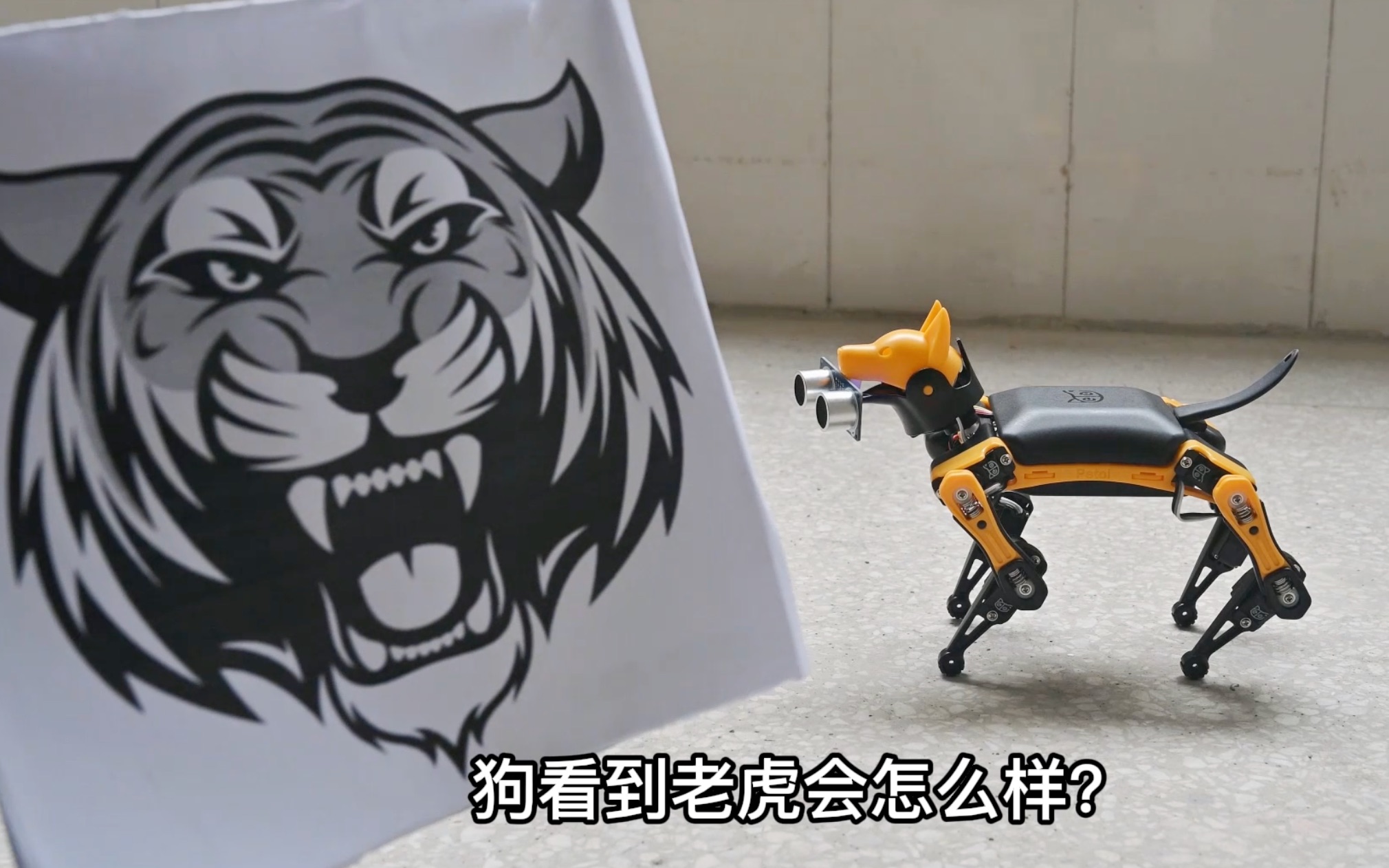 Bittle 图形化编程Demo3: 狗上平阳欺老虎