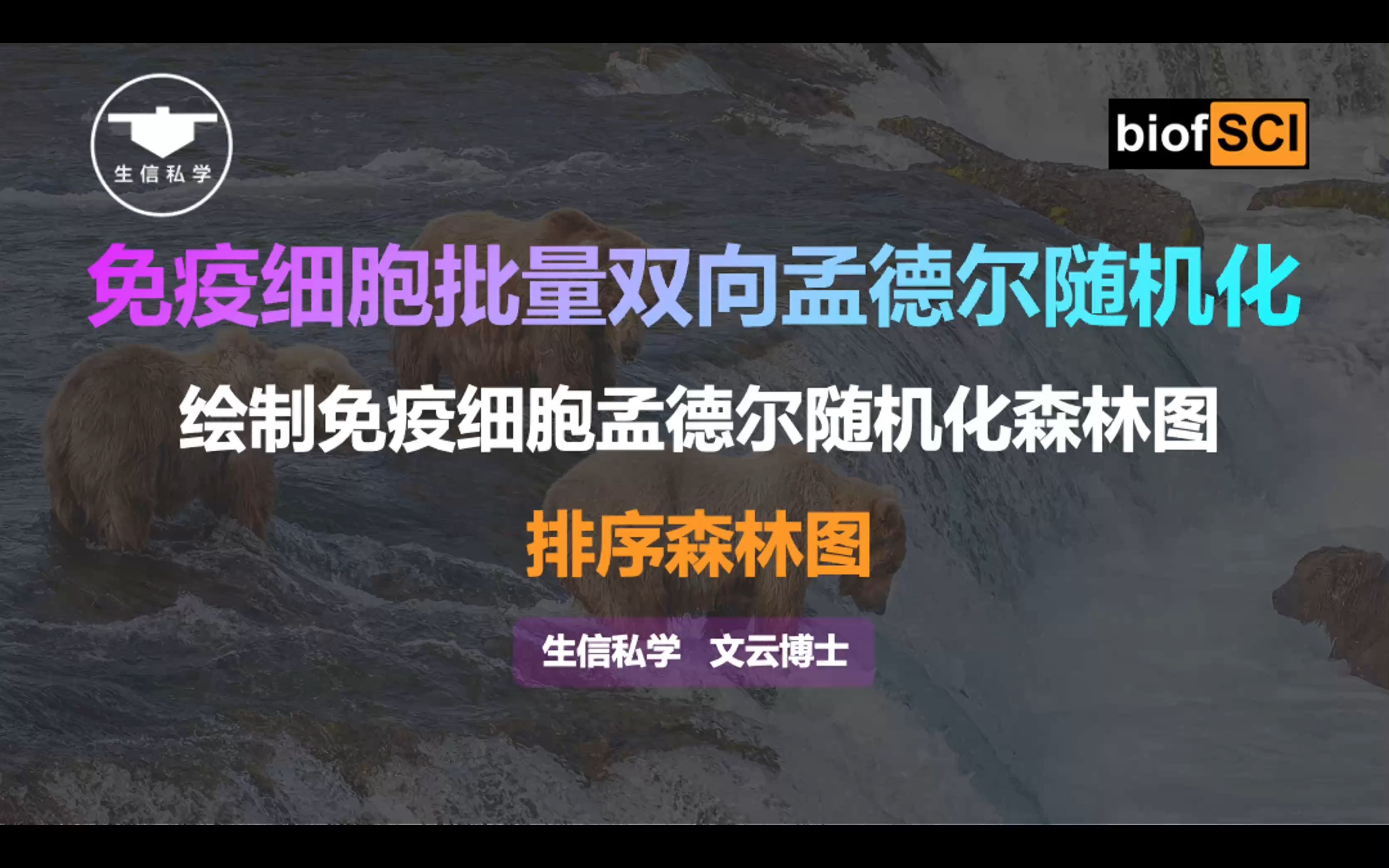 32.绘制免疫细胞孟德尔随机化森林图(排序森林图)