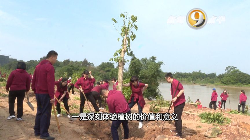 植树造林,营造花海成林优美环境!