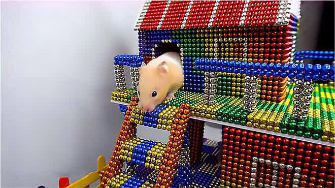 嫌弃仓鼠的窝太丑,老外自制三层豪华别墅给,人不如