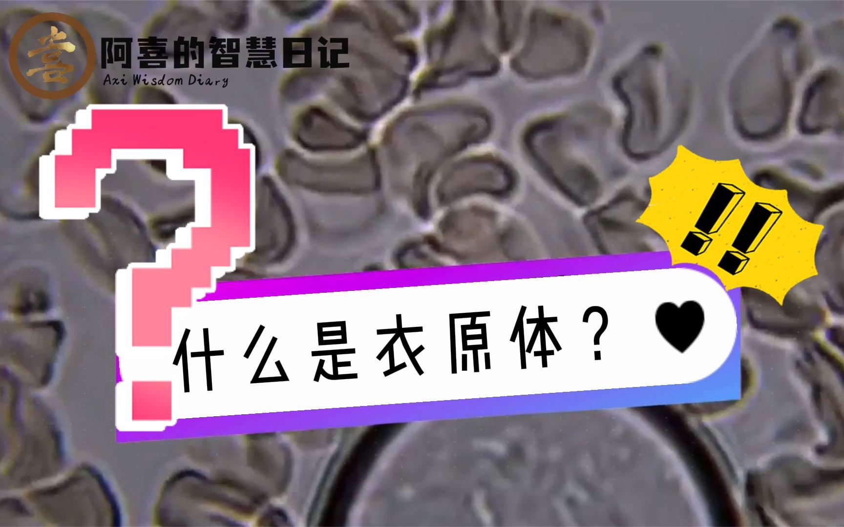 衣原体,你还不知道的那些事!
