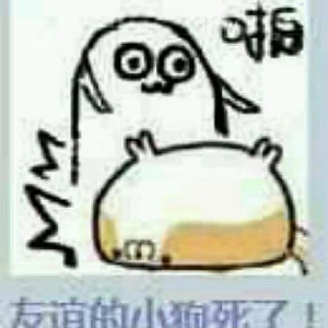 爱动漫的老酋长 