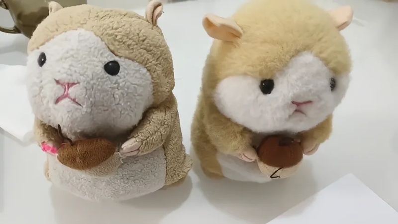 画一只仓鼠