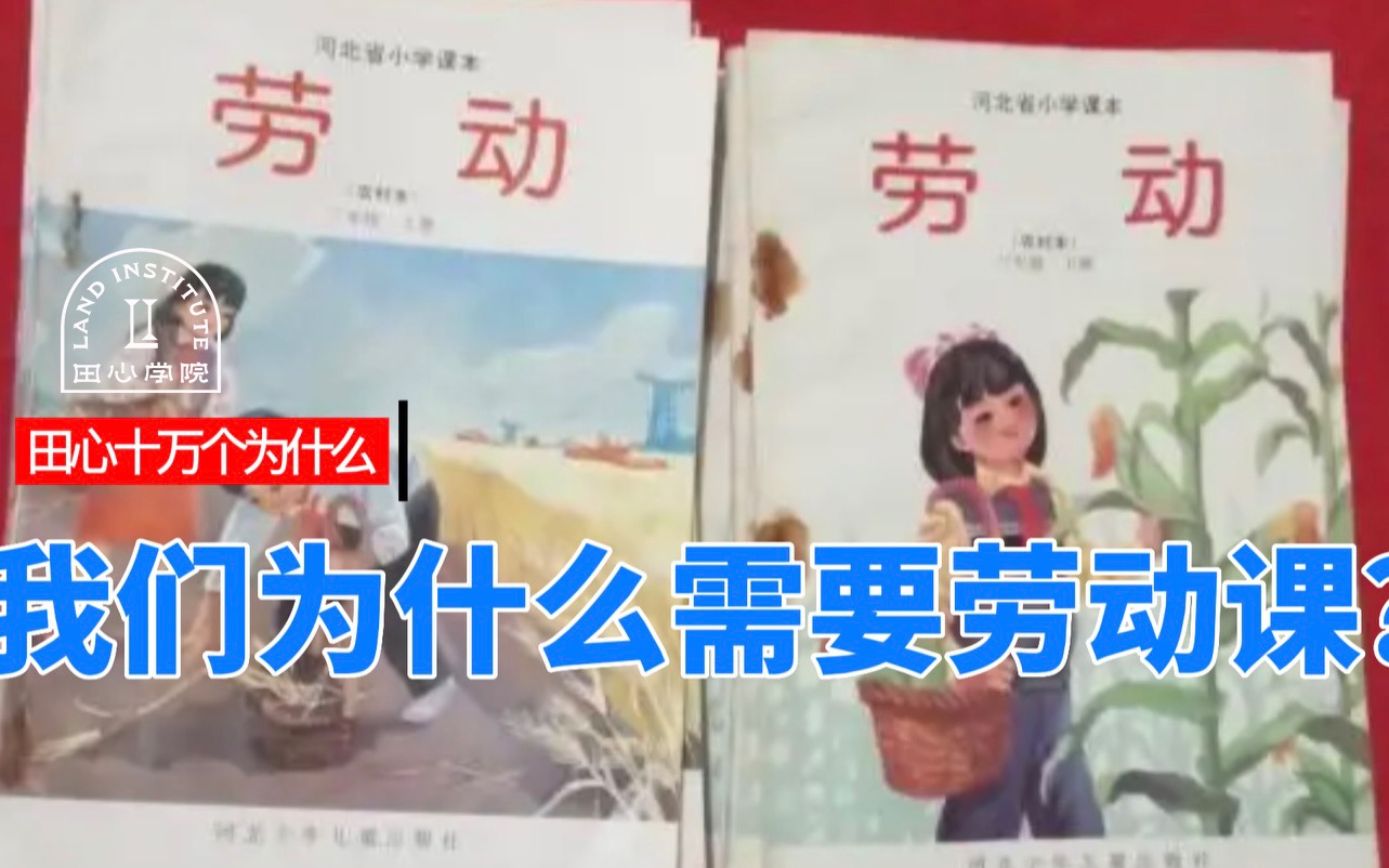 4分钟看透,我们为什么需要劳动课?
