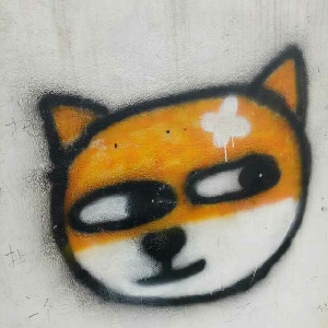 会说日语的健美吉他手 