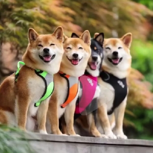Dr云萱 