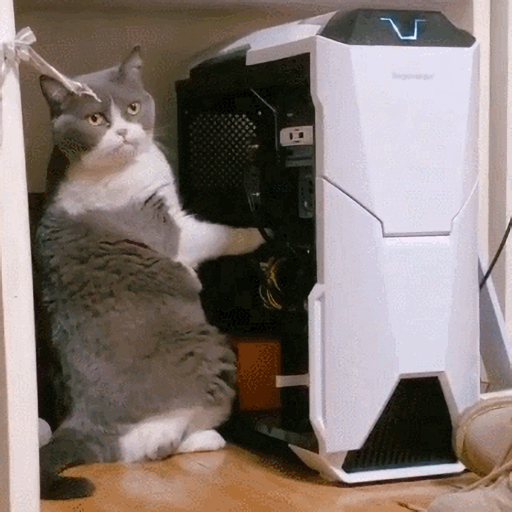 喵喵科技MeowTech 