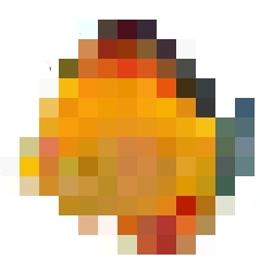 白将A 