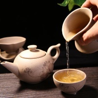 跟我一起学泡茶