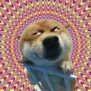 大条哦 