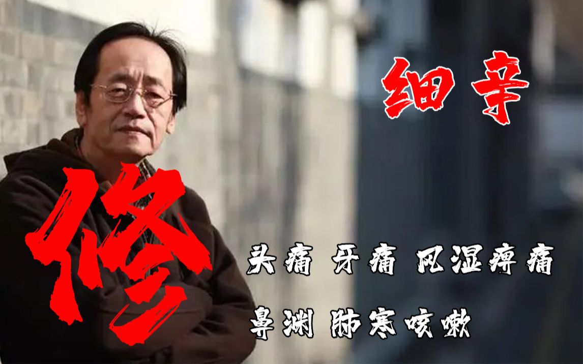 倪海厦:细辛对头痛 牙痛 风湿痹痛 鼻渊 肺寒咳嗽的论证(纯净完整超长版)