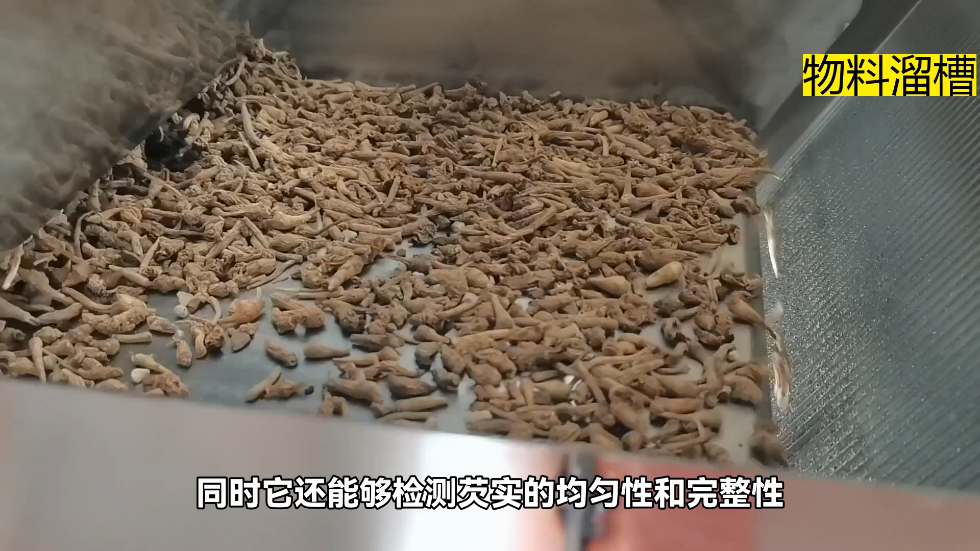 芡实中药材去石机的工作原理:光学识别与机械分离的结合