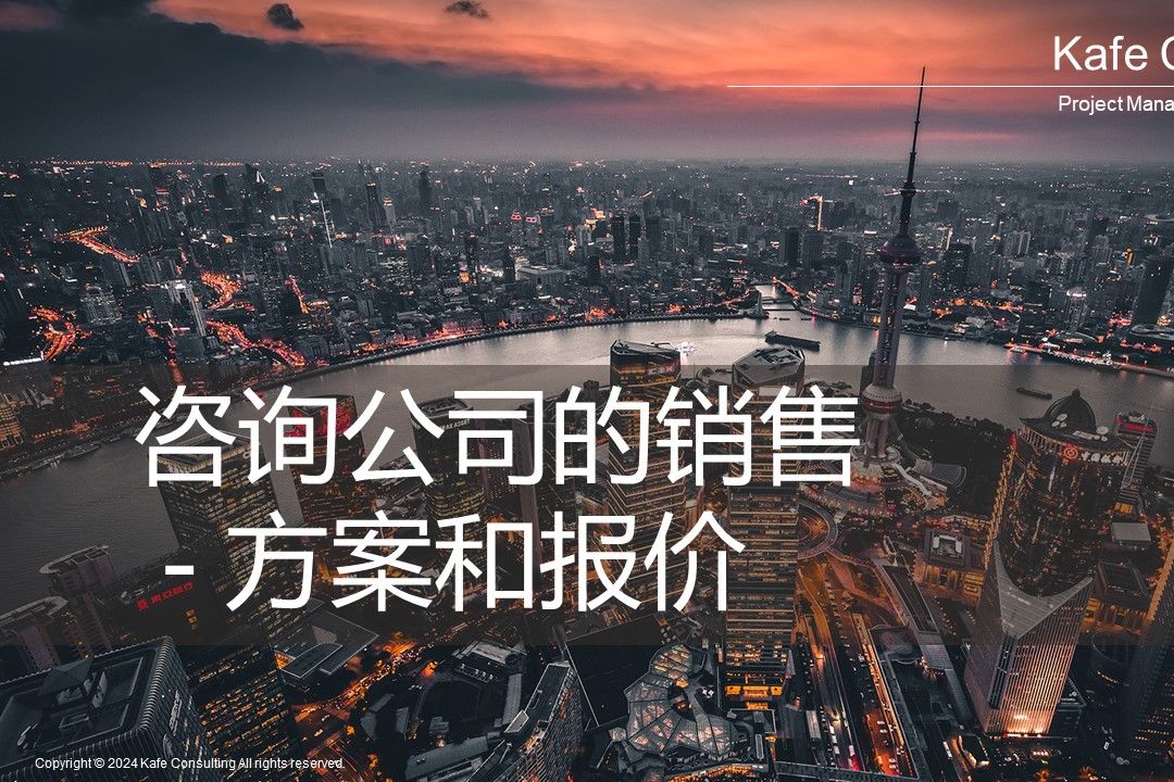 咨询公司的销售: 方案和报价