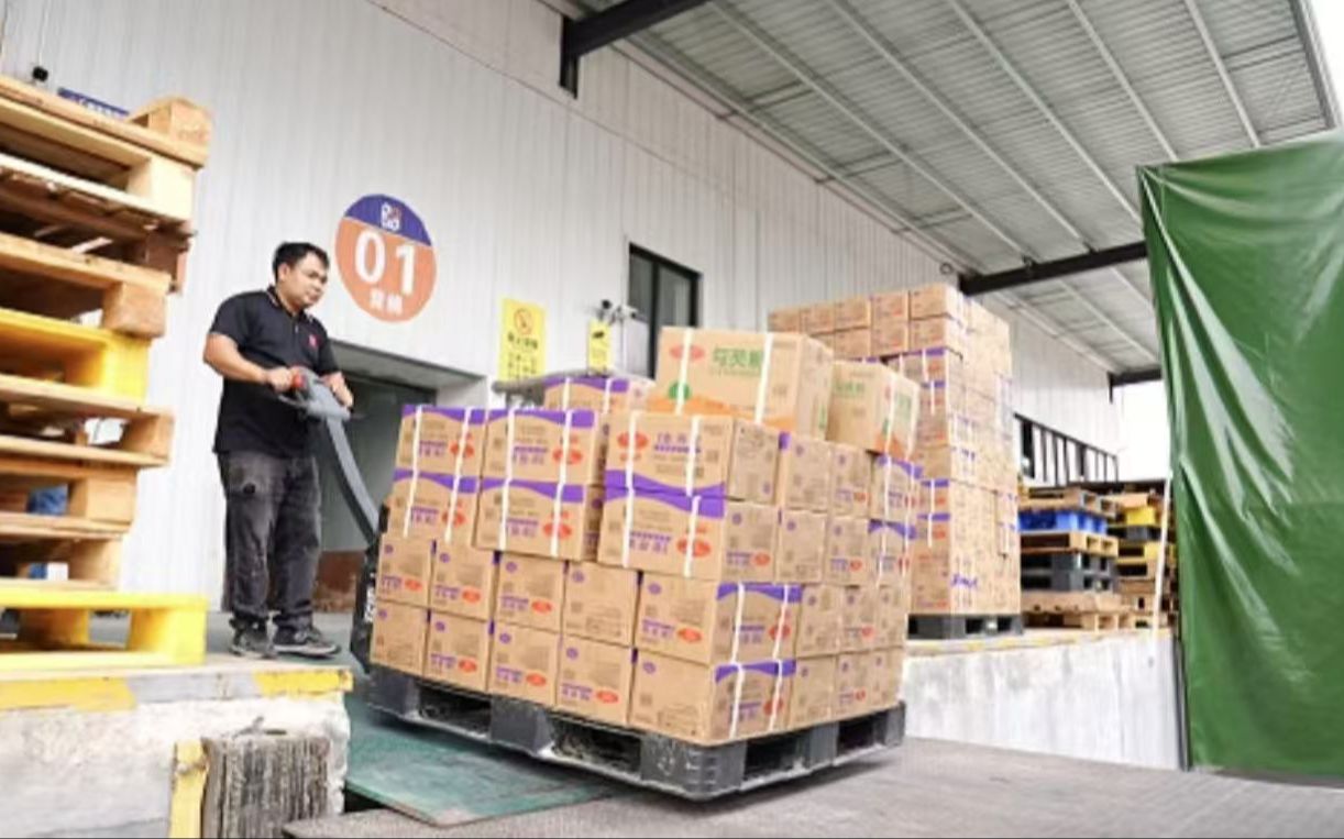 2024广东跨境电商跑出“加速度” “品牌出海”成新趋势