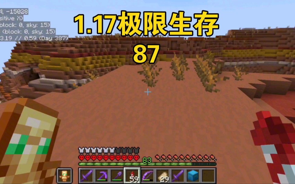 【我的世界】Java版1.17极限生存 87