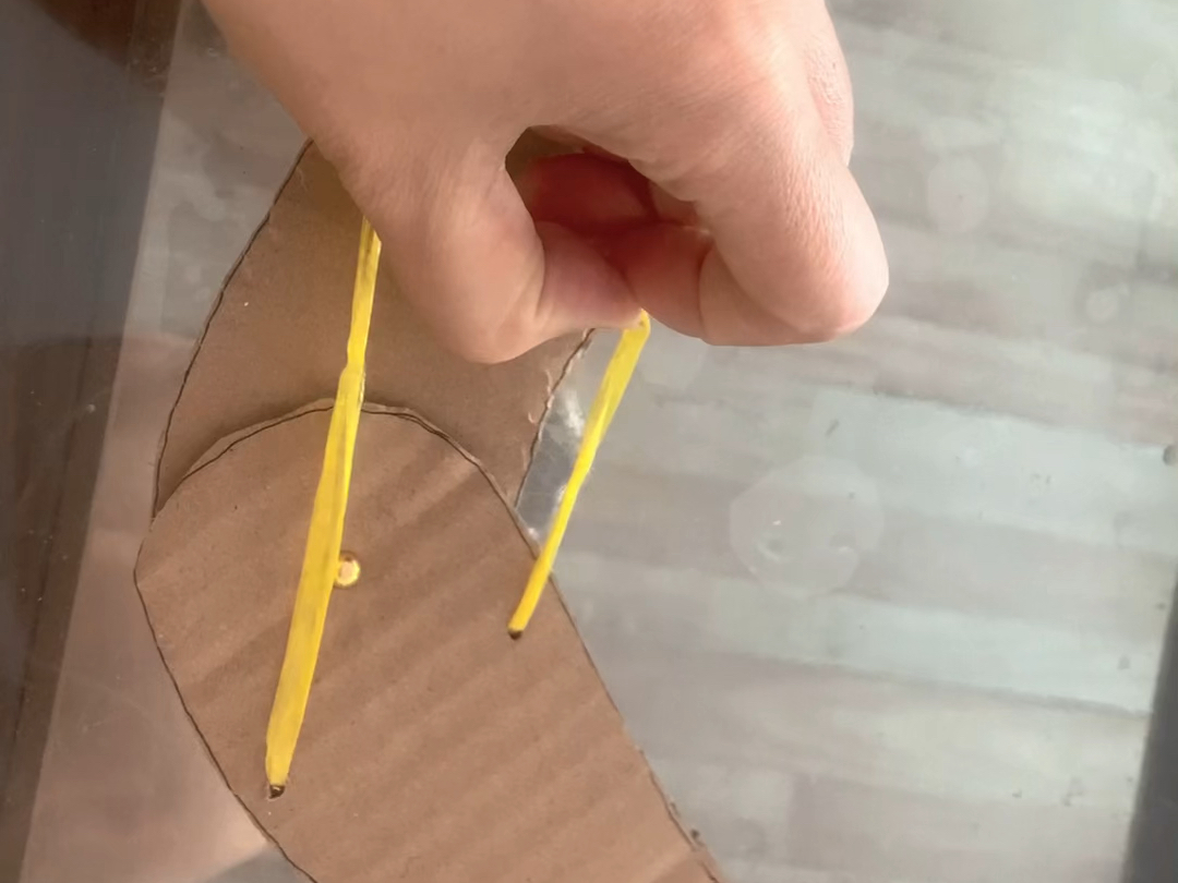 屈肘伸肘简易模型,人教版八年级上册生物,动物的运动